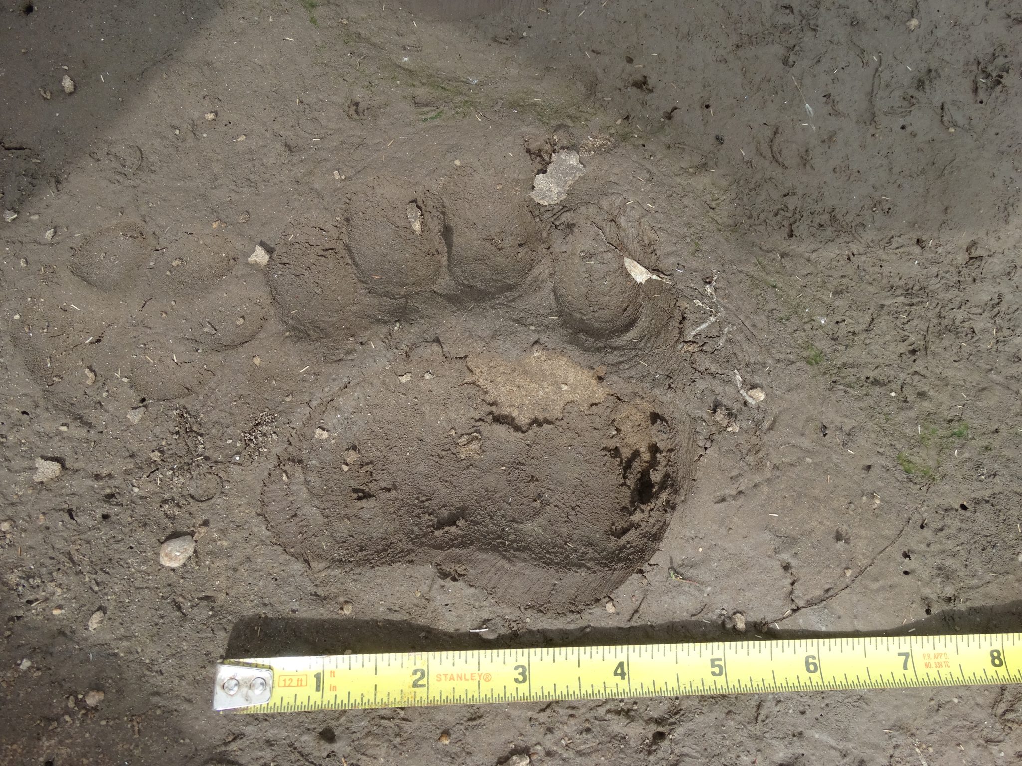 Upper Big Hole Range Rider – Big Hole Watershed Committee