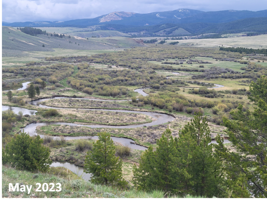 Lower French Creek Restoration – Big Hole Watershed Committee