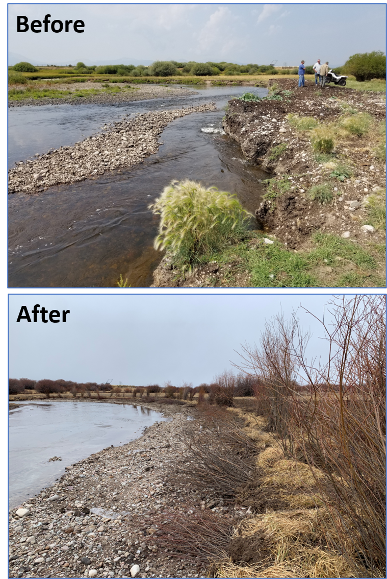 Upper Big Hole Streambank Restoration – Big Hole Watershed Committee