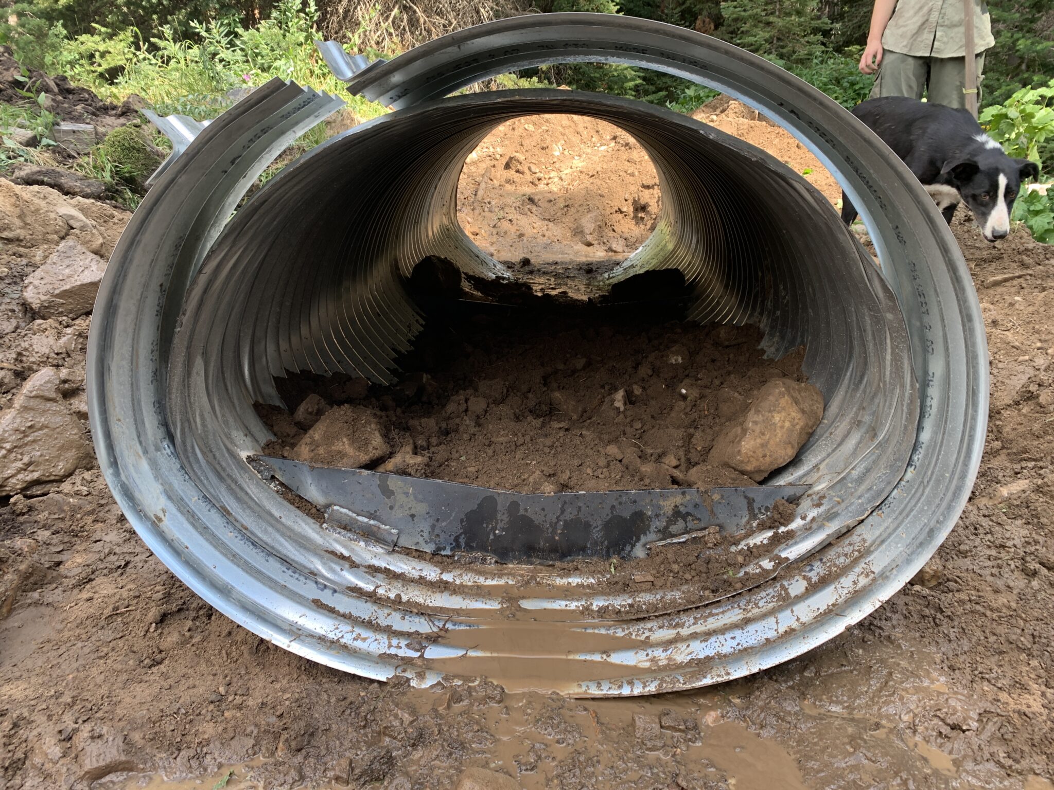 Mount Haggin Culvert Removal and Replacement – Big Hole Watershed Committee